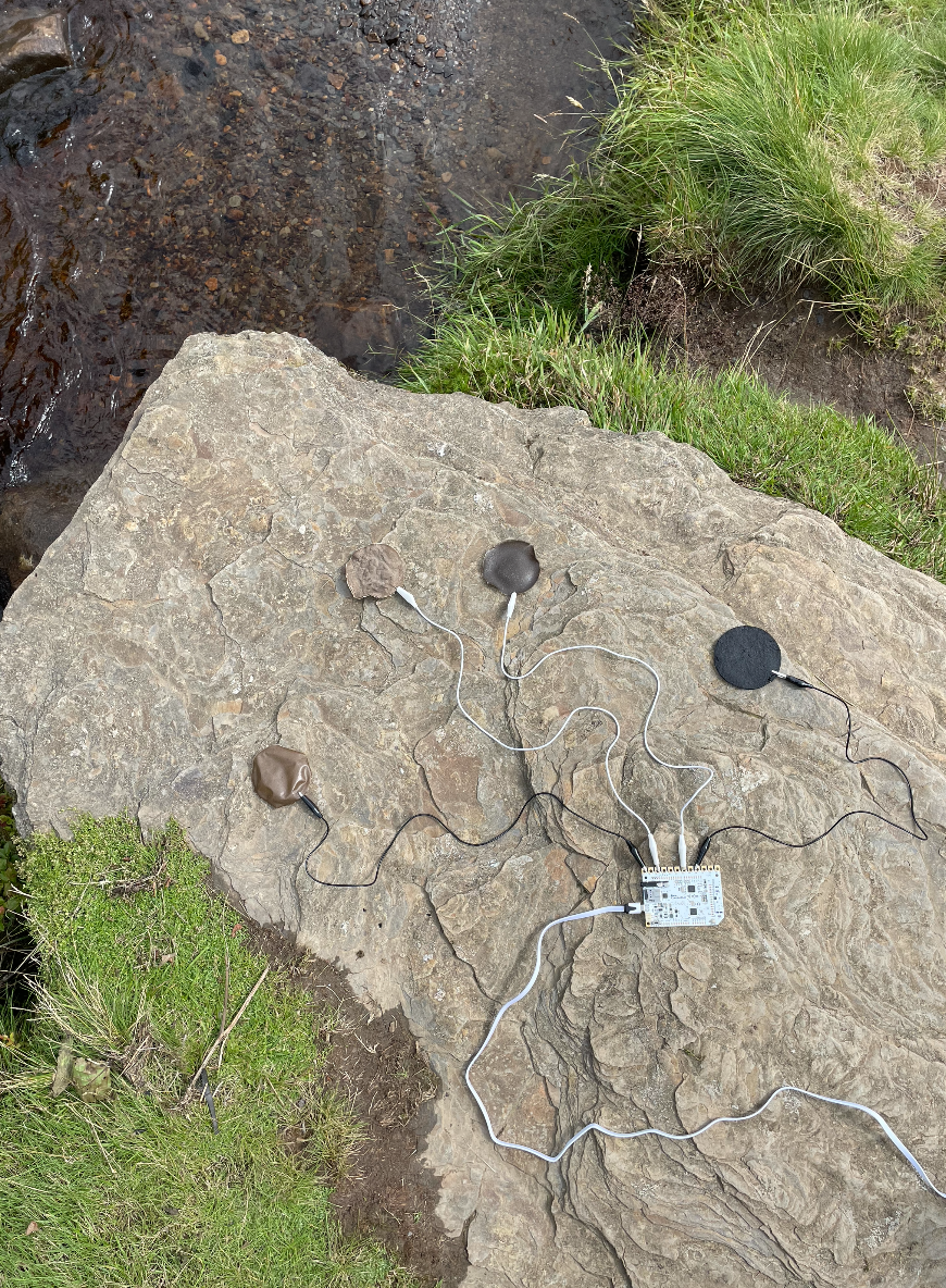 Agatha Smith — (bio)communication