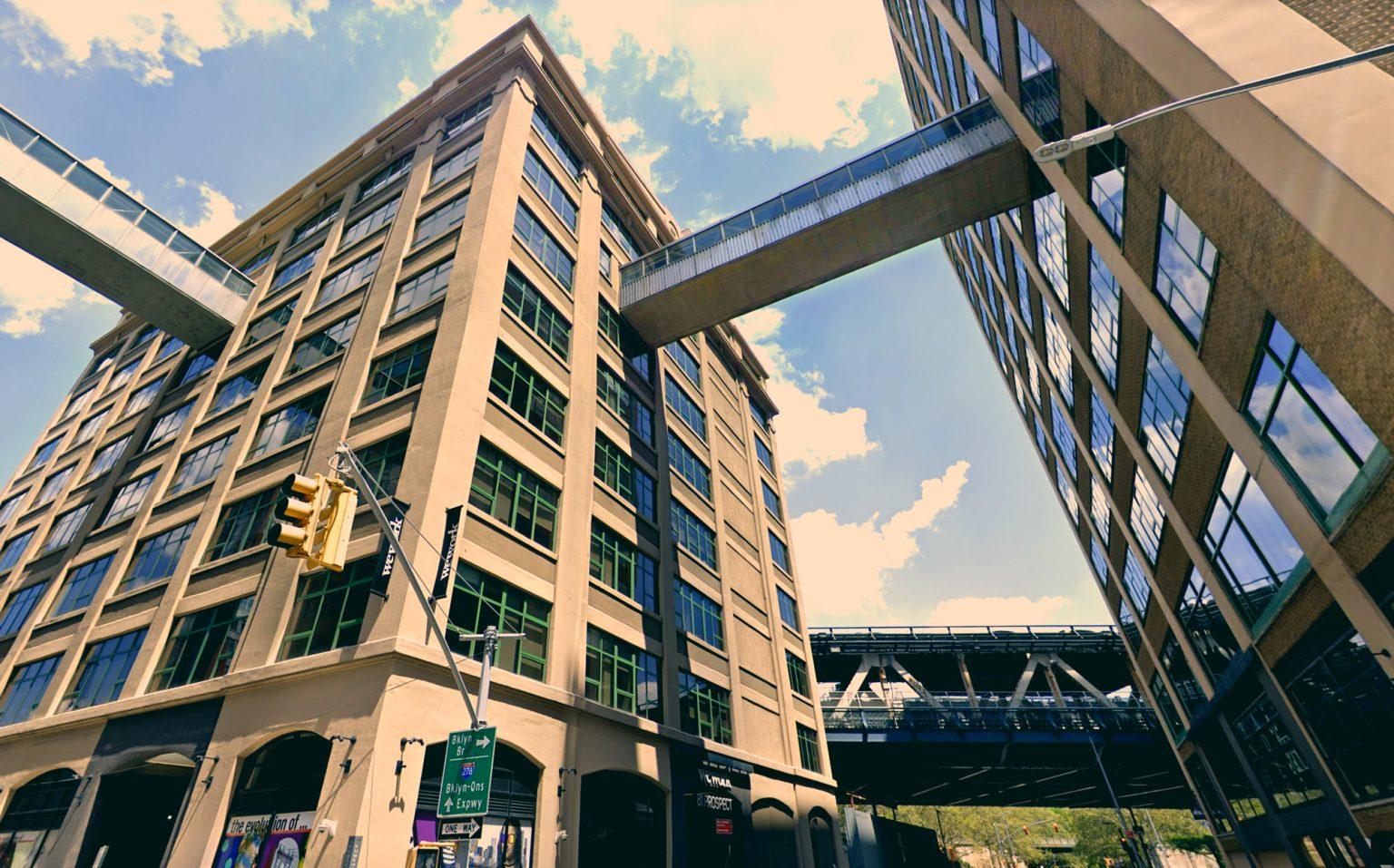 About - Paramedia Studio