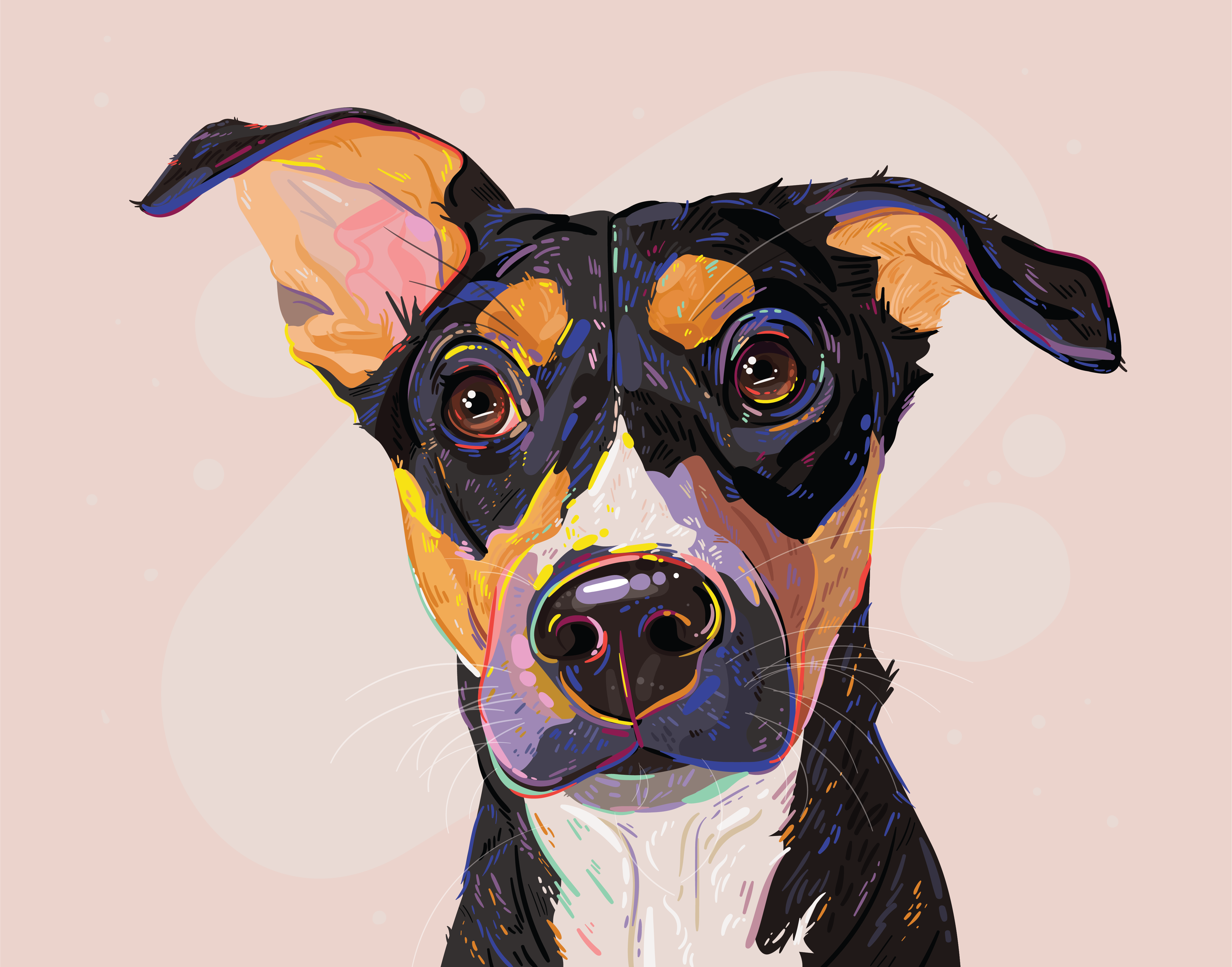 Mallory Heyer Illustration and Design