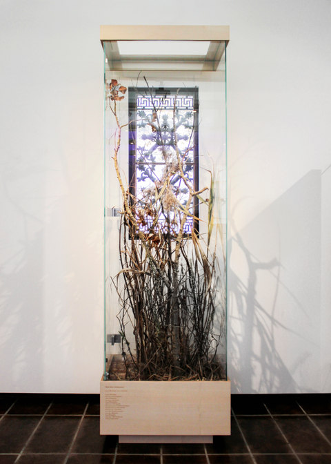 Martin Schenk Design