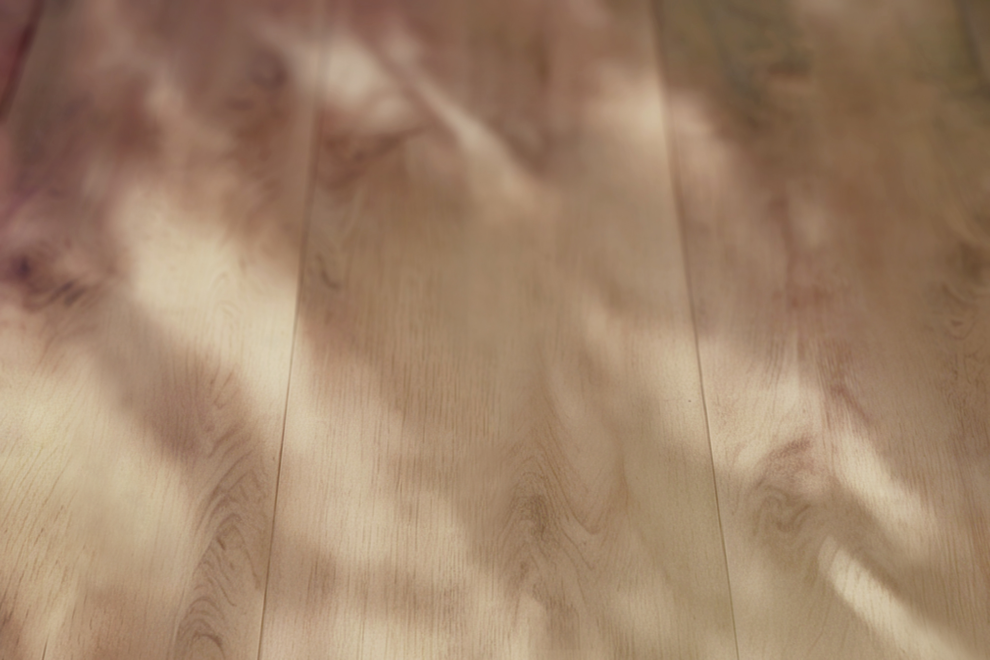 Moonlight - Interactive Online Tarot Platform