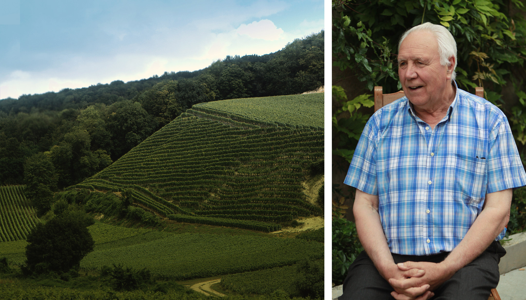 Limited collection of champagne Victoire de la Dignite | Victory of ...