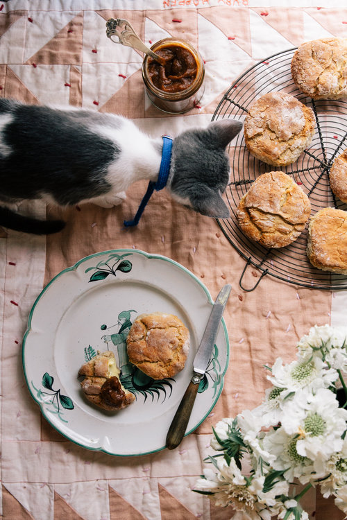 Jacinta Moore: Food, Still Life, Lifestyle, Portrait & Interiors ...