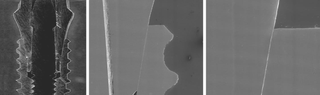 Megagen Russia — ST — Мегаджен Россия