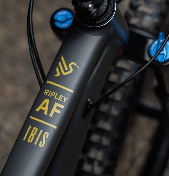 Brand Development and Visual Identity Design for Ibis Mountain Bikes ...