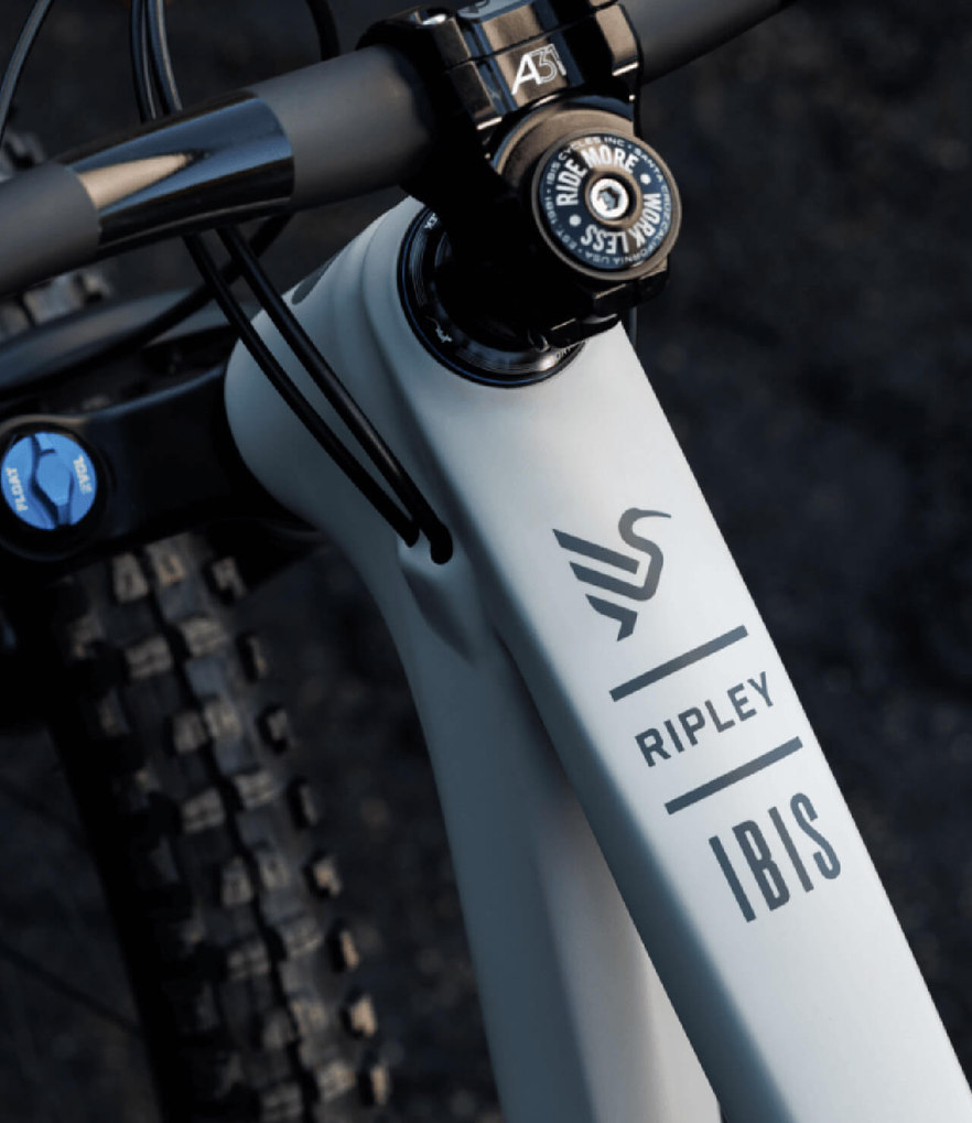Brand Development and Visual Identity Design for Ibis Mountain Bikes ...
