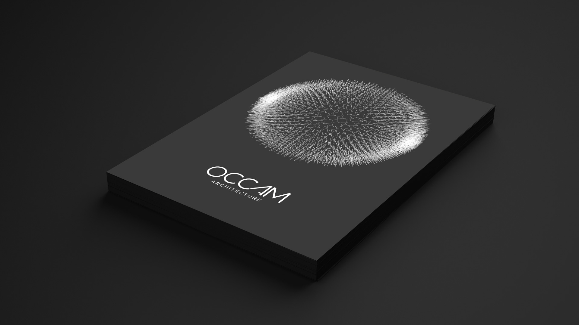 OCCAM Architecture: Brand Identity Design